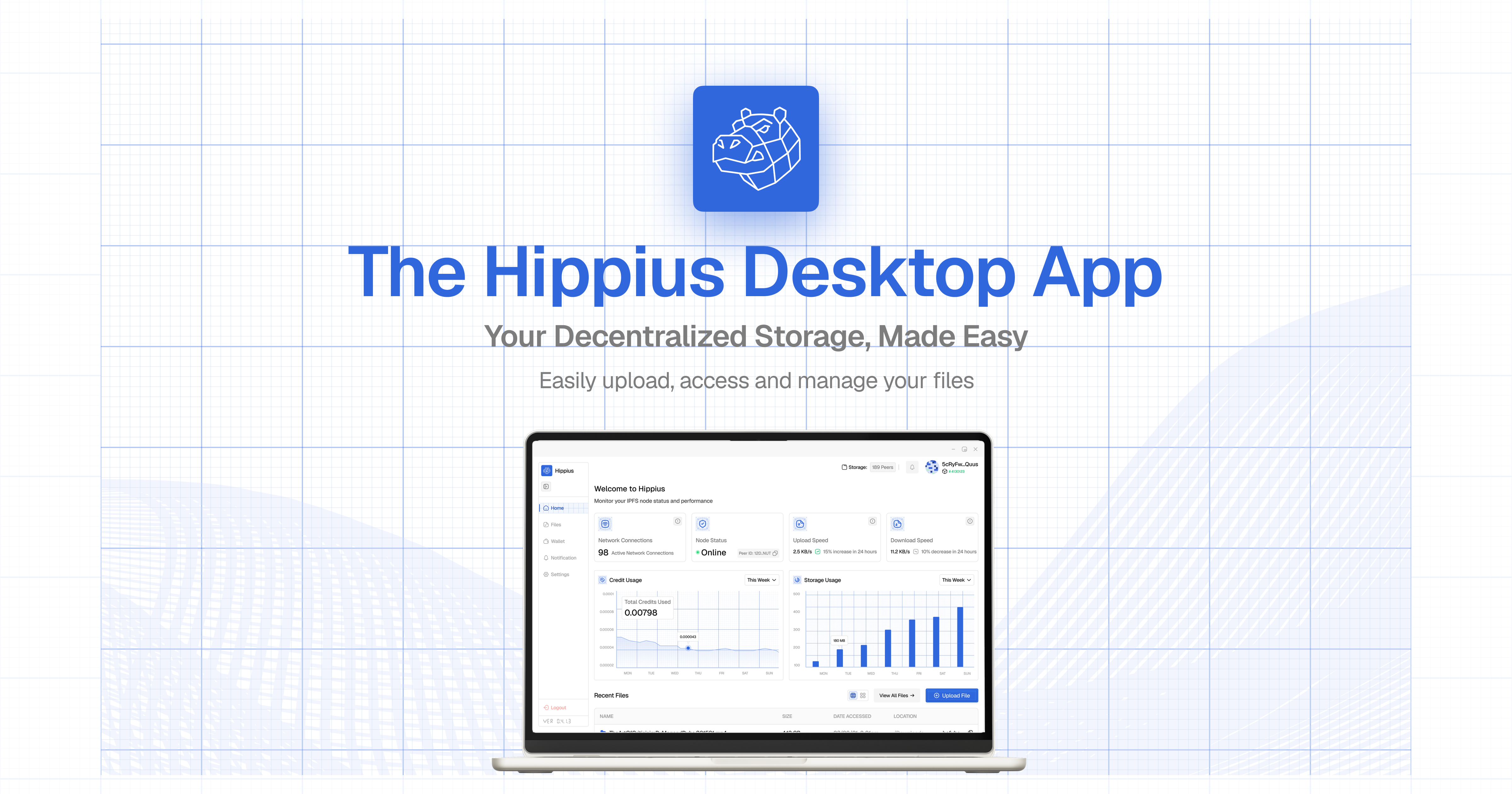 Hippius Desktop App